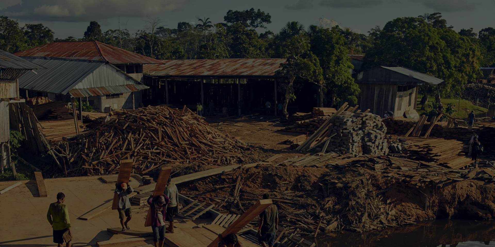 Qiru | adding traceability to the wood industry